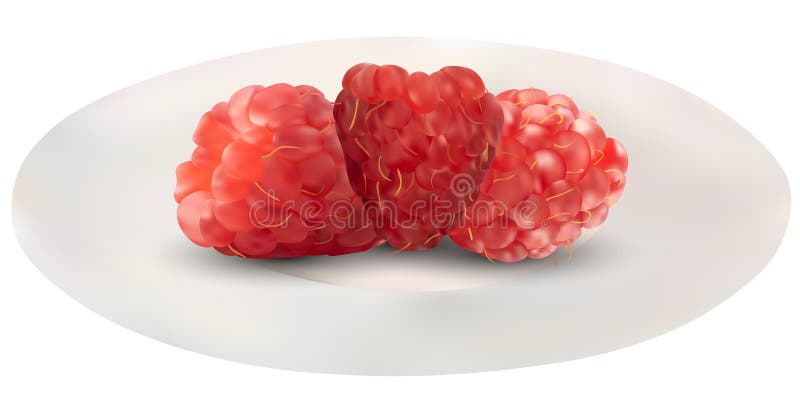 Set of Realistic Raspberries.Vector Illustration, Fruit in a Plate ...