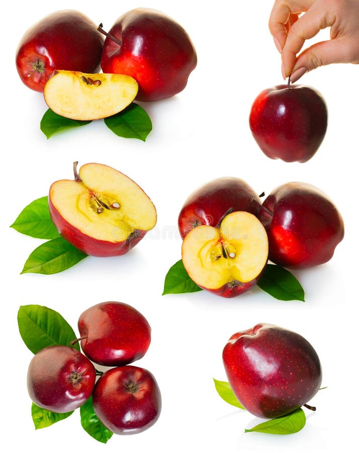 Set red apples fruit stock image. Image of green, branch - 204781971
