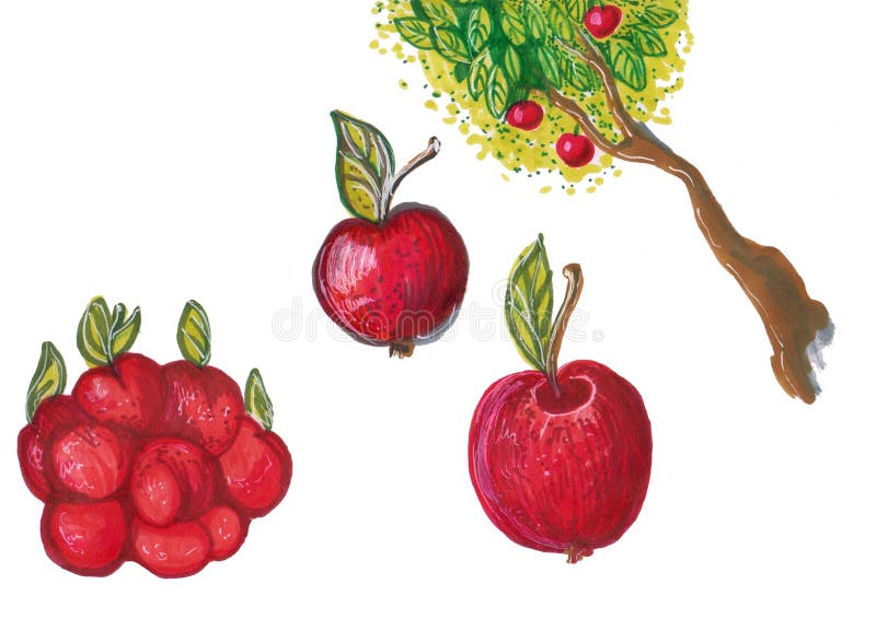 Set of Red Apples Illustration. Marker Drawing. Stock Image - Image of ...