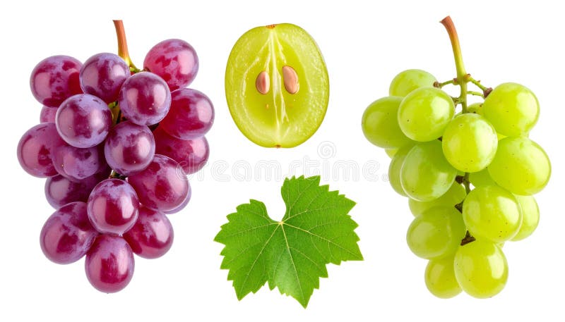 A Bunch of Red Grapes with a Single Green Leaf on a Black Background on ...