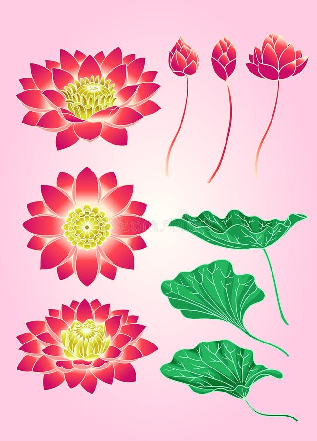 Set of Red Lotus Hand Drawing Design Stock Vector - Illustration of ...