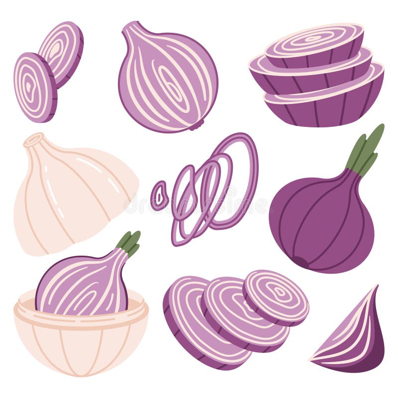 Set of Red Onion Elements. Ring, Piece, Half and Slice of Raw Bulb ...