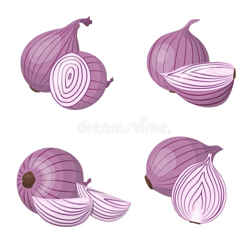 A Set of Red Onions. the Onion is Cut in Half and Slices. Isolated ...