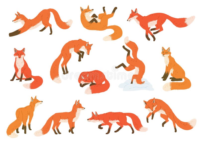 Set of Red and Orange Foxes in Different Poses Flat Style, Vector ...
