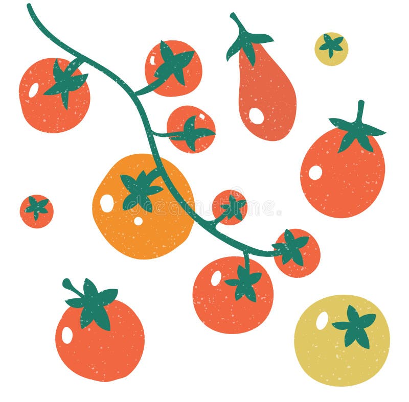 Set of Red Tomatoes. a Branch of Tomatoes.Set with Hand Drawn Colorful ...