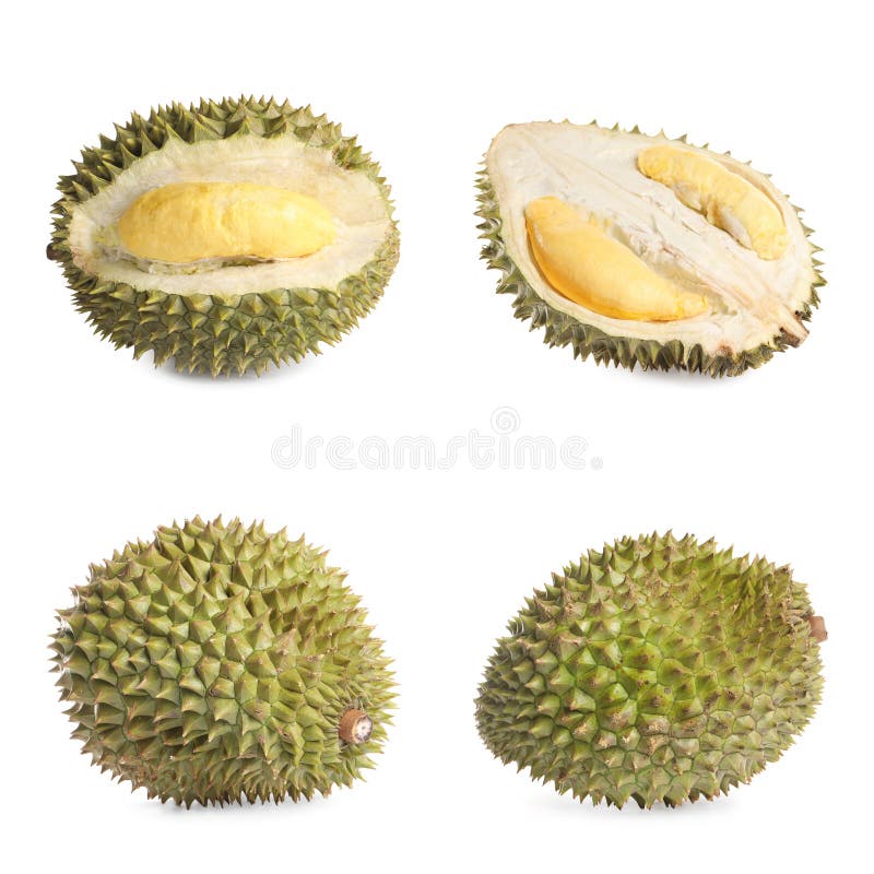 Set with Ripe Durians on White Background Stock Photo - Image of fresh ...