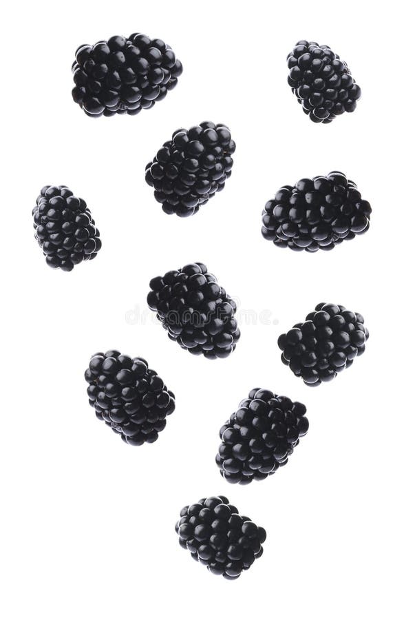 Set of Ripe Falling Blackberries on Background Stock Photo - Image of ...