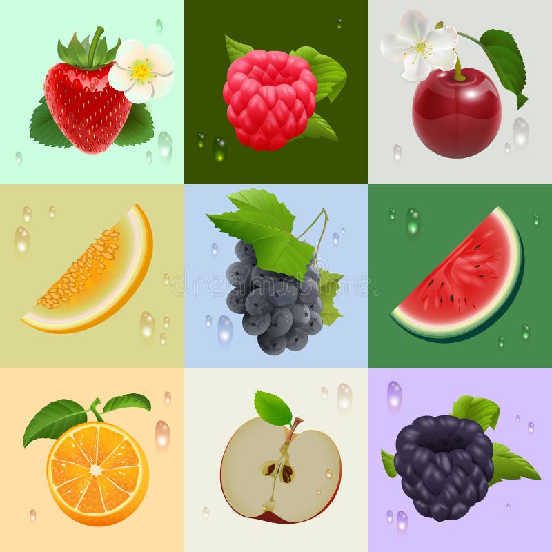 Set of Ripe Fruits Strawberry Stock Vector - Illustration of juicy ...