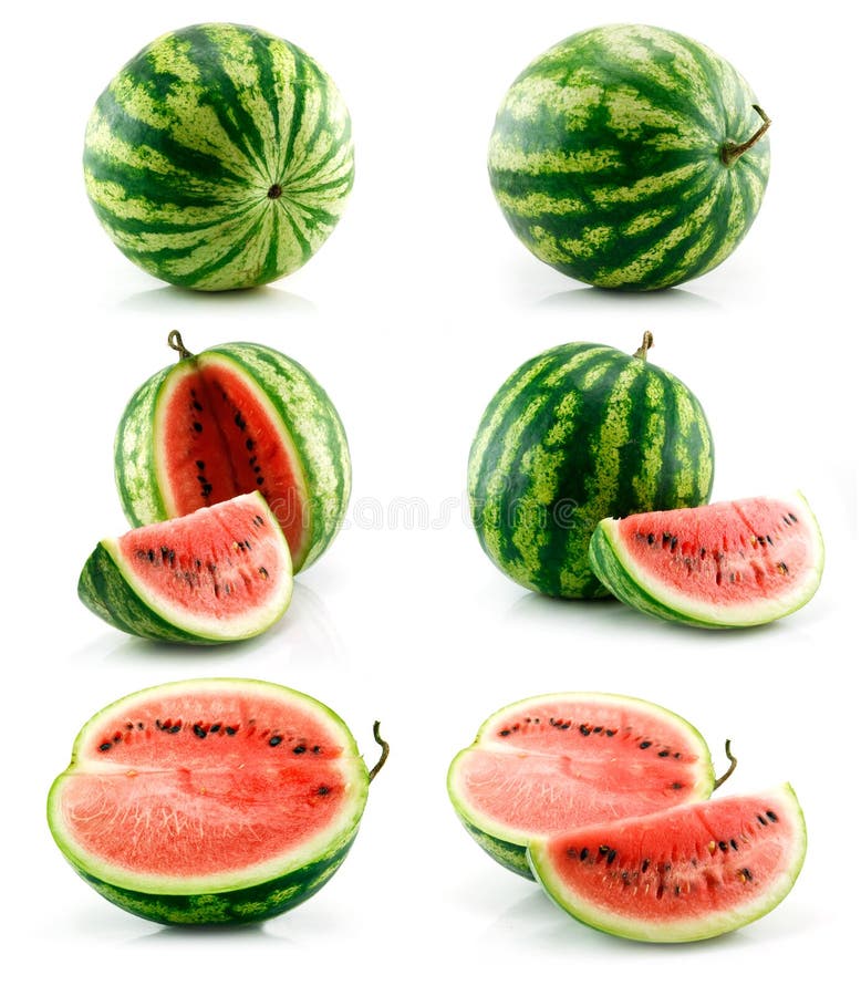 Guava stock photo. Image of white, sweet, nature, green - 5403088