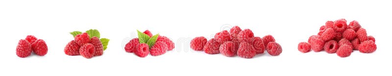 Set of Ripe Raspberries on Background. Banner Design Stock Photo ...