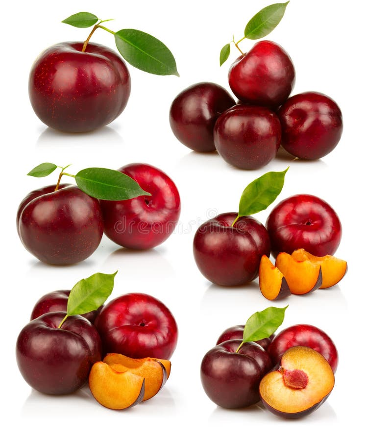 Set of Ripe Red Plums Fruit on White Stock Image - Image of descriptive ...