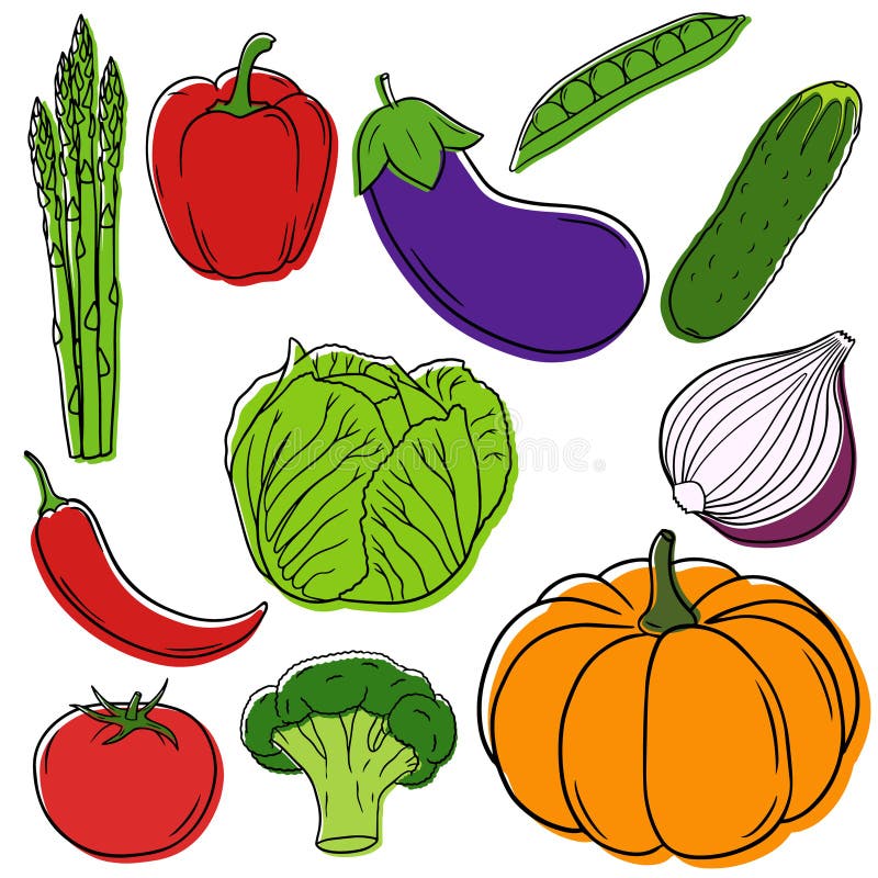 Set of the Ripe Vegetables in a Linear Style. Stock Vector ...