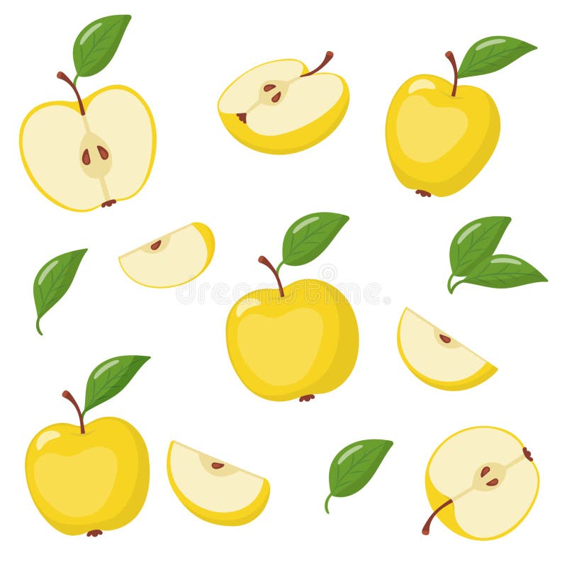 Set of Ripe Yellow Apples, Vector Stock Vector - Illustration of food ...