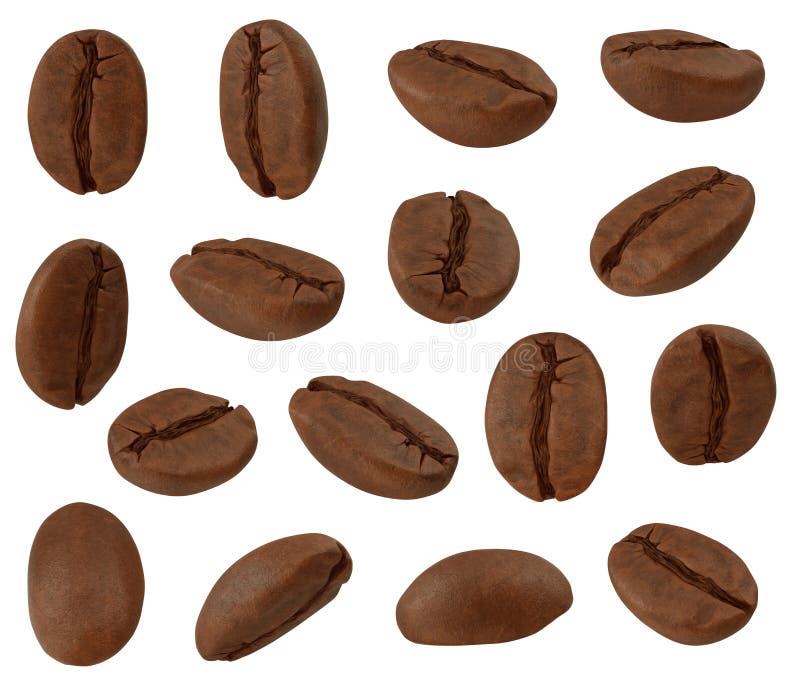 Set of Roasted Coffee Beans in Different Angles Stock Illustration ...