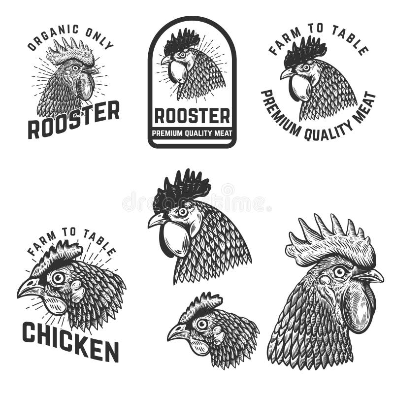 Illustration of Rooster Head in Monochrome Style. Design Element for ...