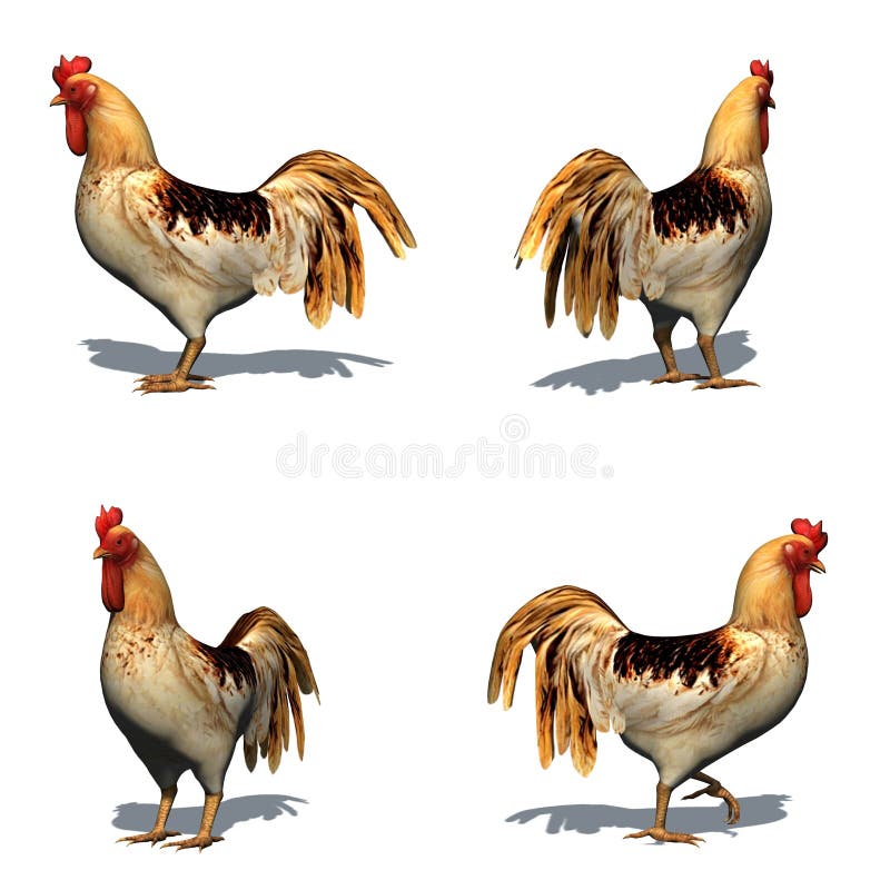 Rooster Shadow Stock Illustrations – 1,402 Rooster Shadow Stock ...