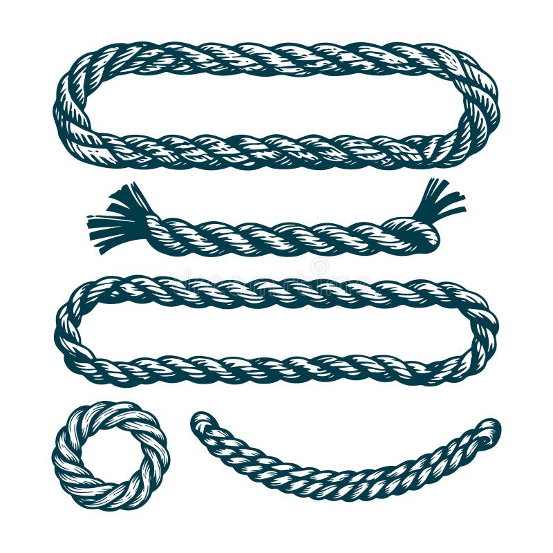 A Set of Rope Decorative Elements Knot Bows Bundle Plait Loop Vector ...