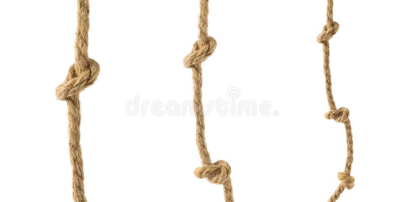 A Set of Rope Ropes with Knots Isolated on a White Background Stock ...