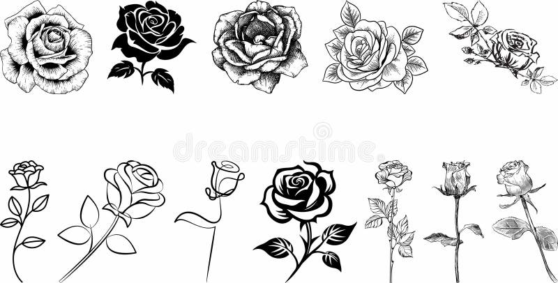 Set of Rose Icon Collection Design Stock Illustration - Illustration of ...