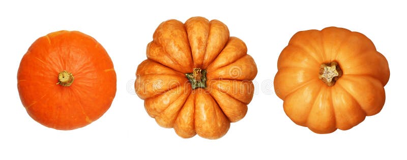 Set of Round Orange Pumpkins Stock Photo - Image of view, fall: 179541052