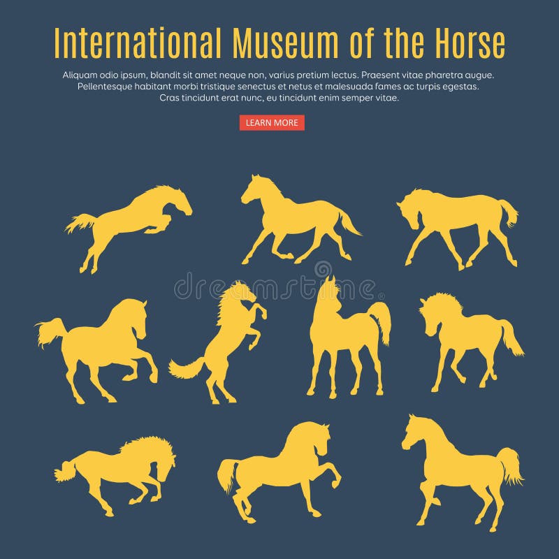 Horse Drawing Step Step Stock Illustrations – 278 Horse Drawing Step ...
