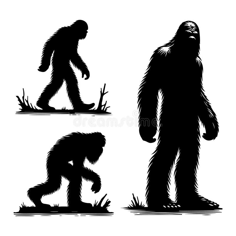 Set of Sasquatch Silhouettes Isolated on a White Background, Vector ...
