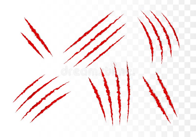 Animal Claw Scratches. Wild Animal Claws Scratch Texture Stock Vector ...