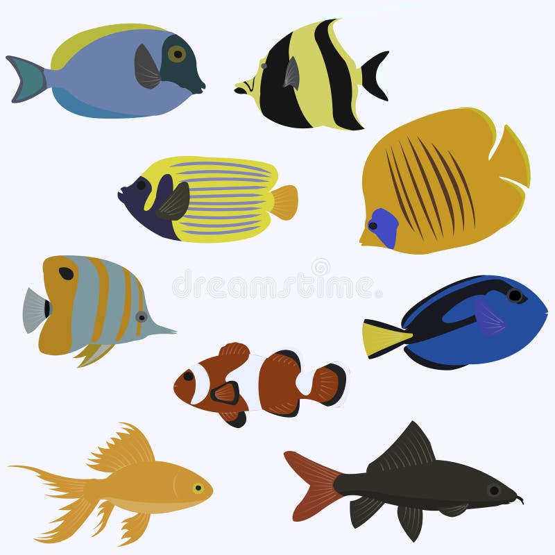 Set of Sea Fish Color Design Flat. Stock Vector - Illustration of fauna ...
