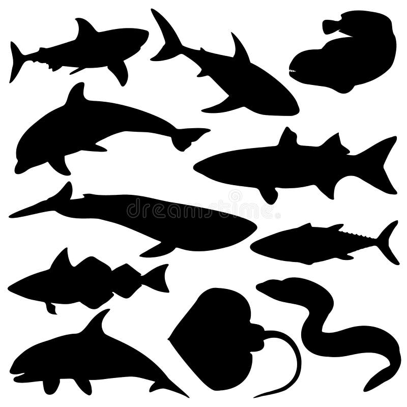 Set of sea fish. stock vector. Illustration of vector - 203302900