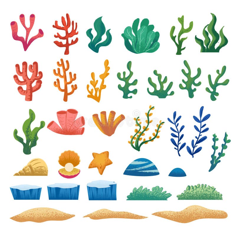 Set of Sea Plants Cartoon Illustration Stock Illustration ...