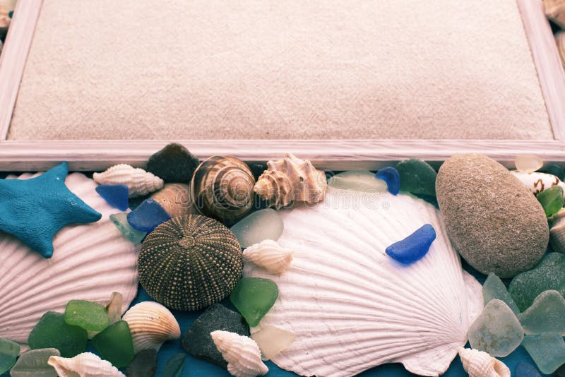 Set Sea Shell Decorative Frame Place for Text. Stock Image - Image of ...