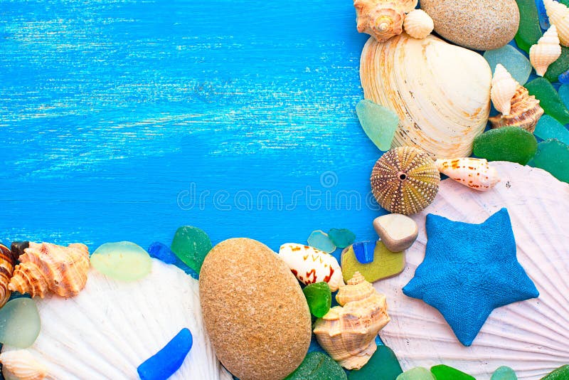 Set Sea Shell Decorative Frame Place for Text. Stock Photo - Image of ...