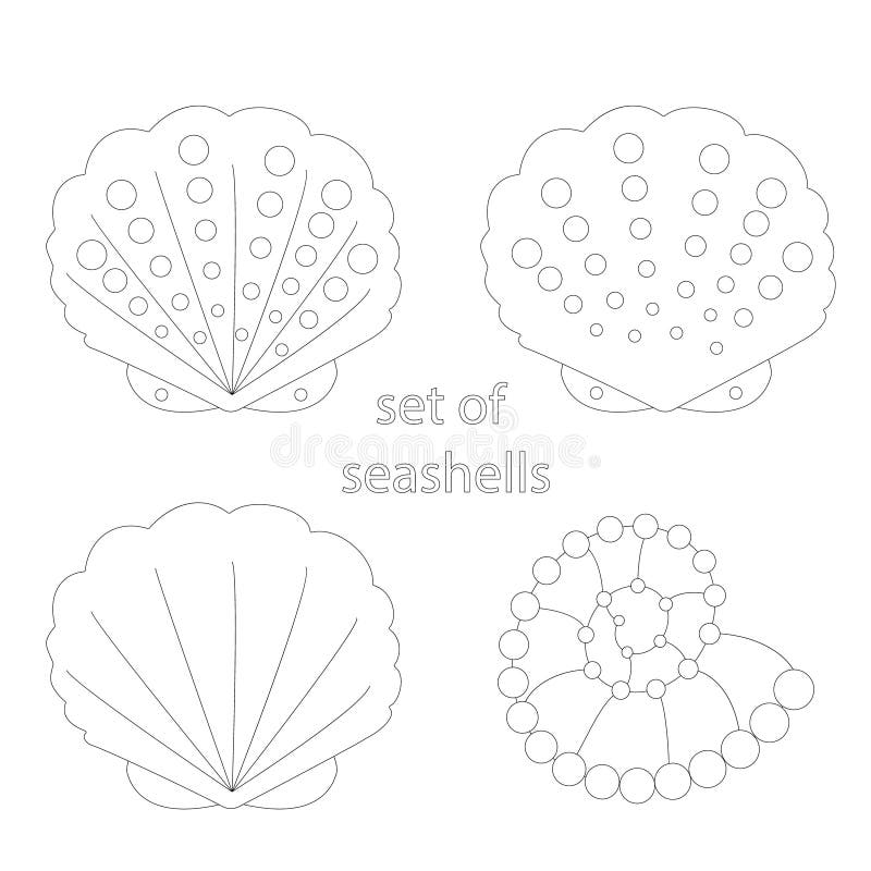Set of sea shells stock vector. Illustration of doodle - 259831212
