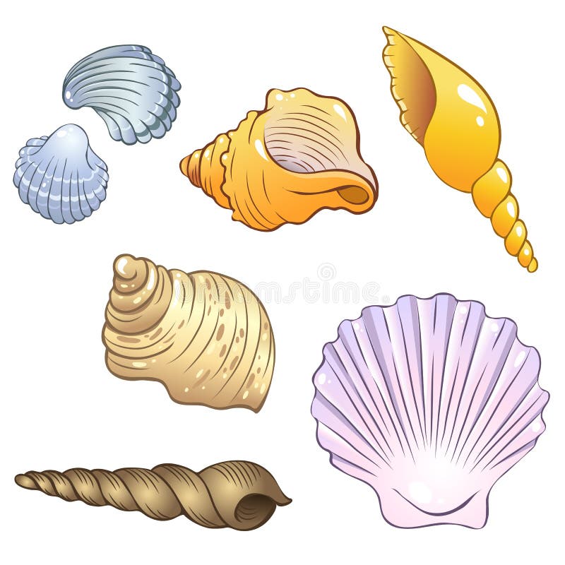 Set of sea shells stock vector. Illustration of climate - 30764662