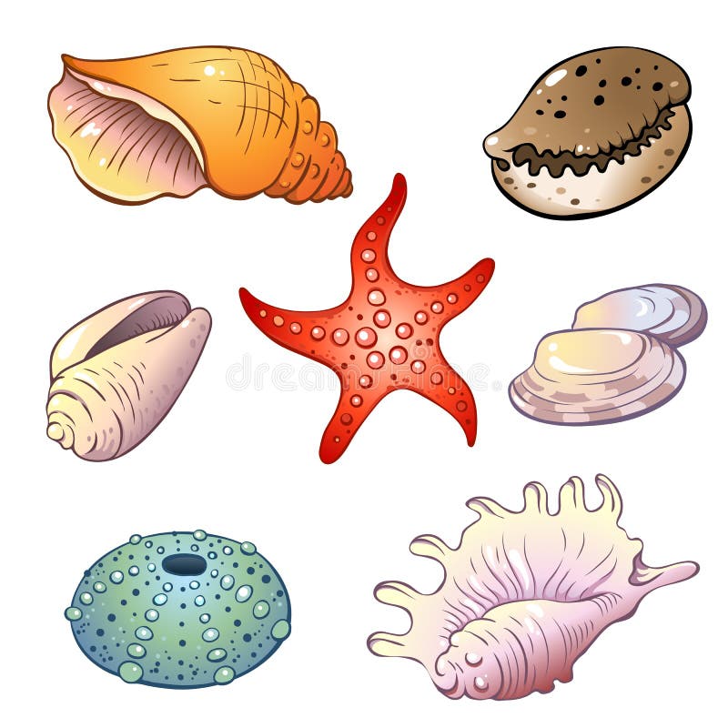 Cartoon Sea Shells Stock Illustrations – 7,655 Cartoon Sea Shells Stock ...