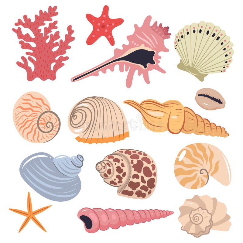 Set of Sea Shells Isolated on a White Background Stock Vector ...