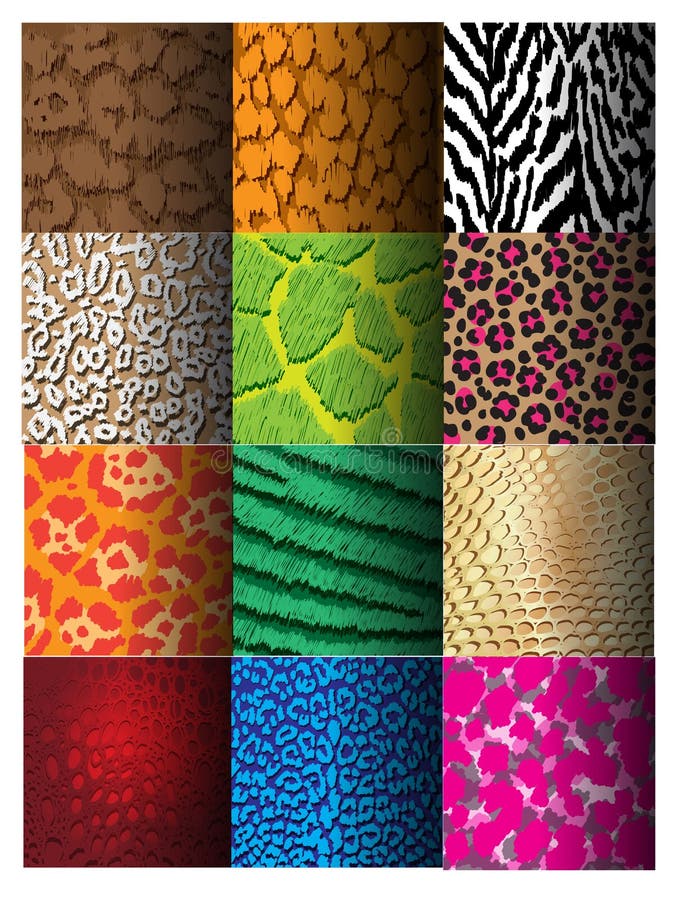 Set of Seamless Animal Print Pattern Color Stock Vector - Illustration ...