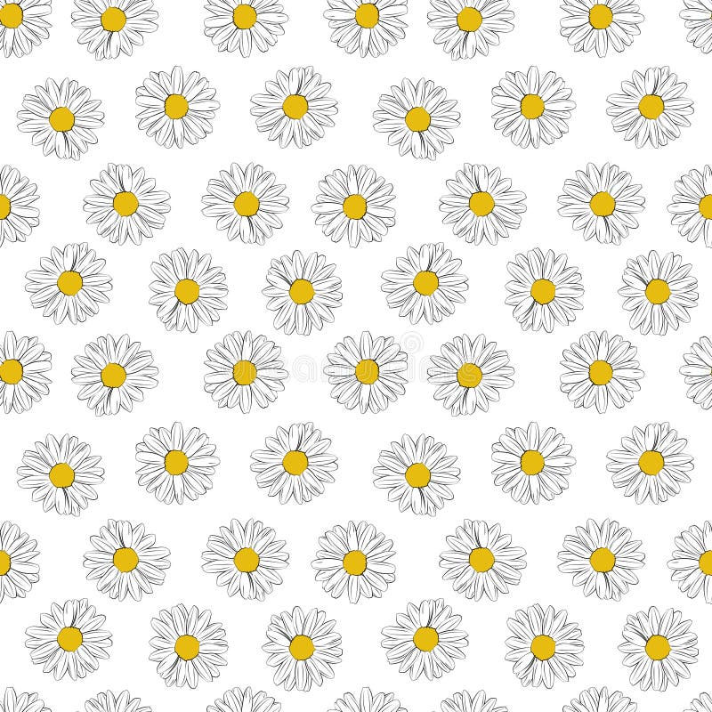A Set of Seamless Background with Chamomile. Vector Graphics, 1000x1000 ...