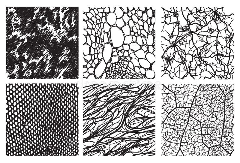 Set of Seamless Nature Print Pattern Black and White Stock Vector ...