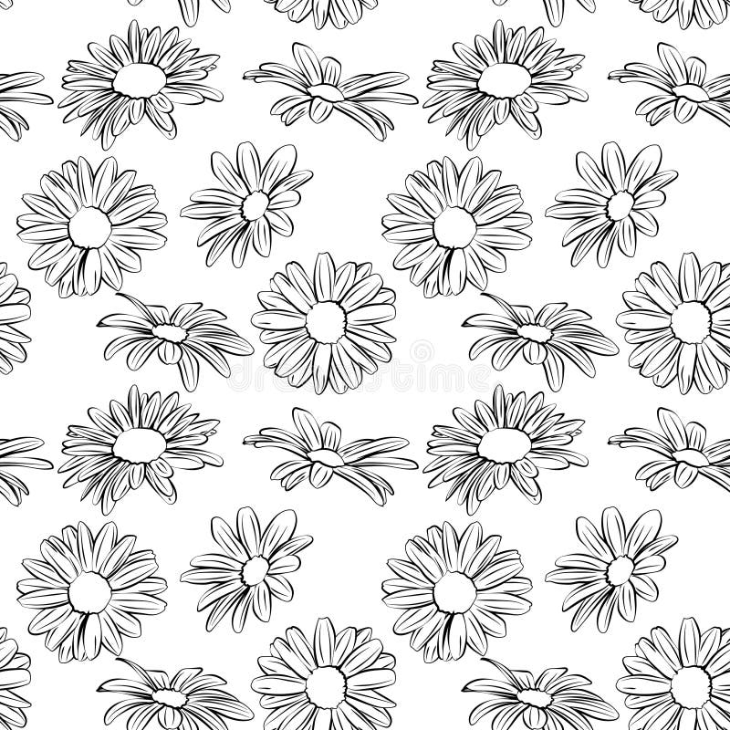 A Set of Seamless Patterns with Daisies, 1000x1000, Vector Graphics ...