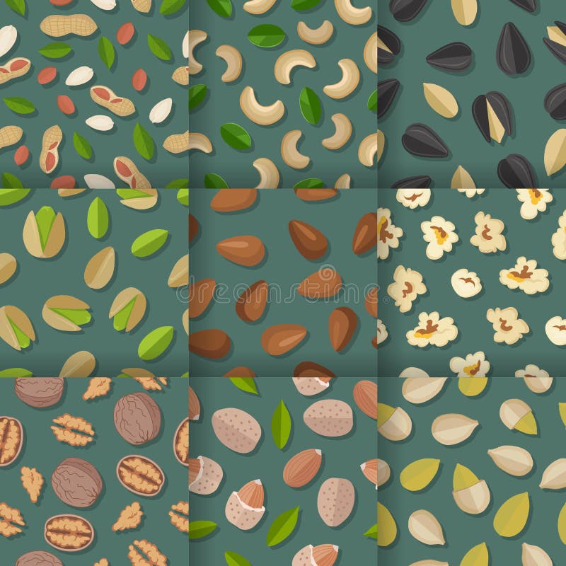 Set of Seamless Patterns with Nuts and Seeds. Stock Vector ...