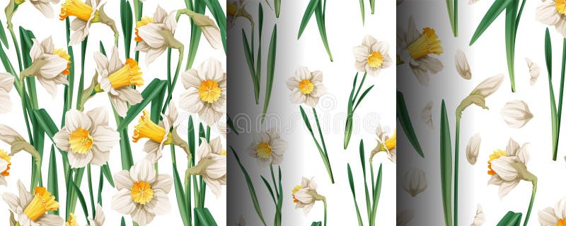 Set of Seamless Patterns with Spring Flowers. Texture with Daffodils ...
