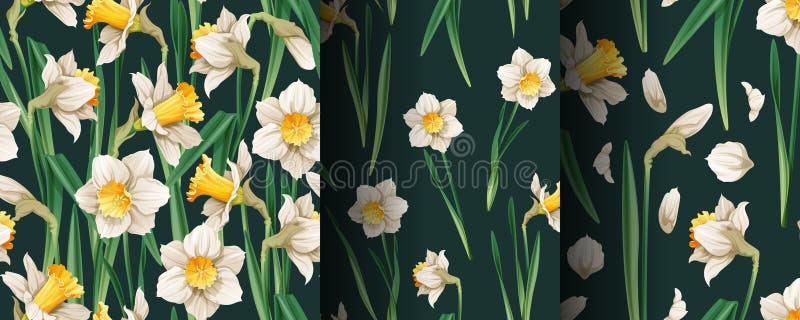 Set of Seamless Patterns with Spring Flowers. Texture with Daffodils ...