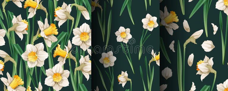 Set of Seamless Patterns with Spring Flowers. Texture with Daffodils ...