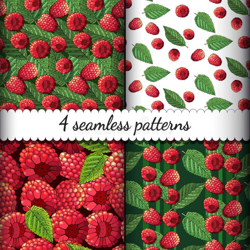 Set of Seamless Summer Patterns of Raspberries and Leaves Stock ...