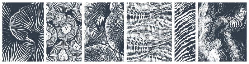 Organic Ink Textures with Mushroom Caps, Bark Lines and Abstract ...