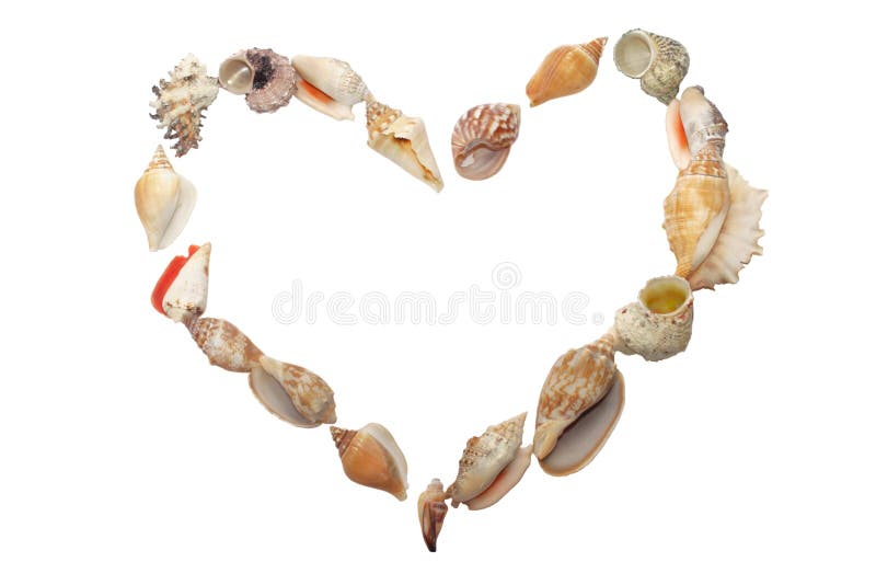 Seashell heart stock image. Image of birthday, idea, anniversary - 1849997
