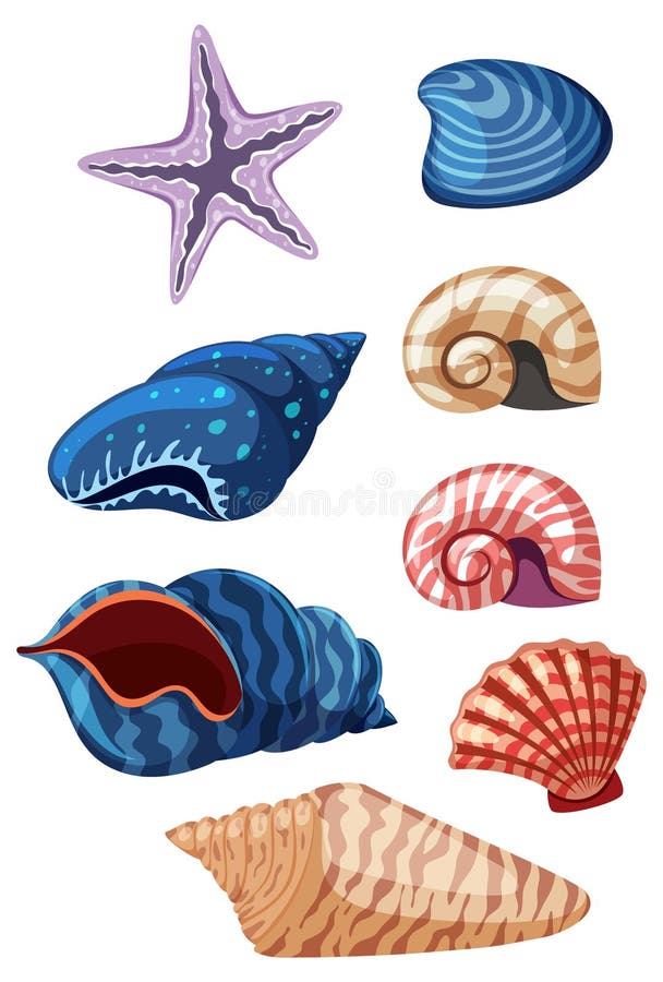 Set of Seashell Simple Cartoon Stock Vector - Illustration of sundial ...