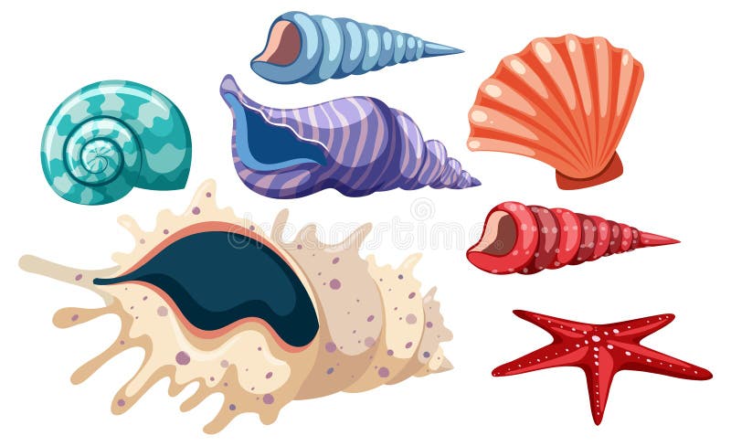 Set of Seashell Simple Cartoon Stock Vector - Illustration of graphic ...