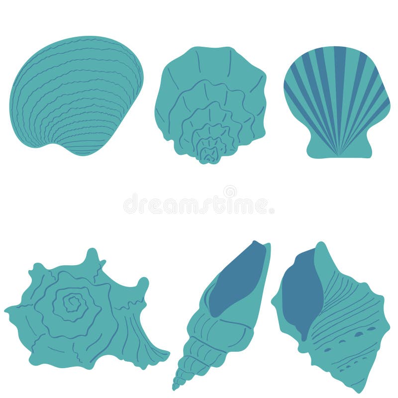 A Set of Seashells in a Flat Style. Vector Children S Illustration ...